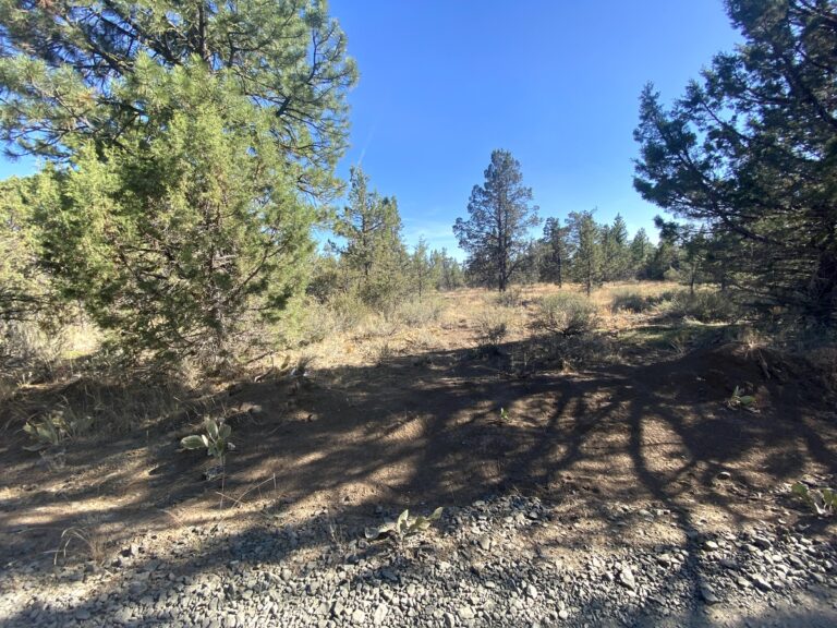 This 2.03 acre well treed parcel shares a property line with 15,000 ...