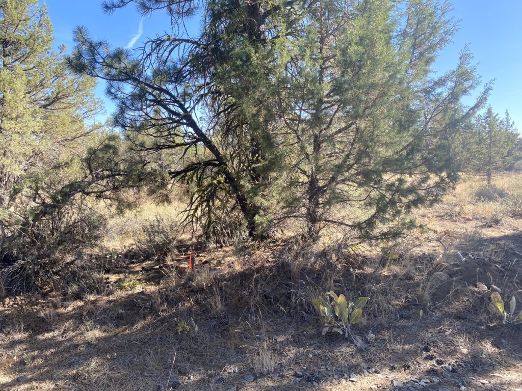 This 2.03 acre well treed parcel shares a property line with 15,000 ...