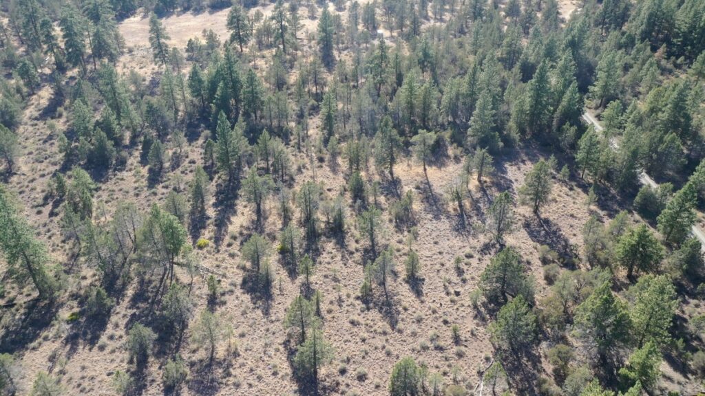 This 2.03 acre well treed parcel shares a property line with 15,000 ...