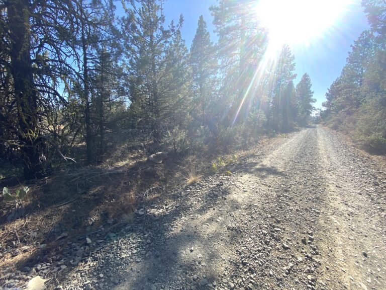 This 2.03 acre well treed parcel shares a property line with 15,000 ...